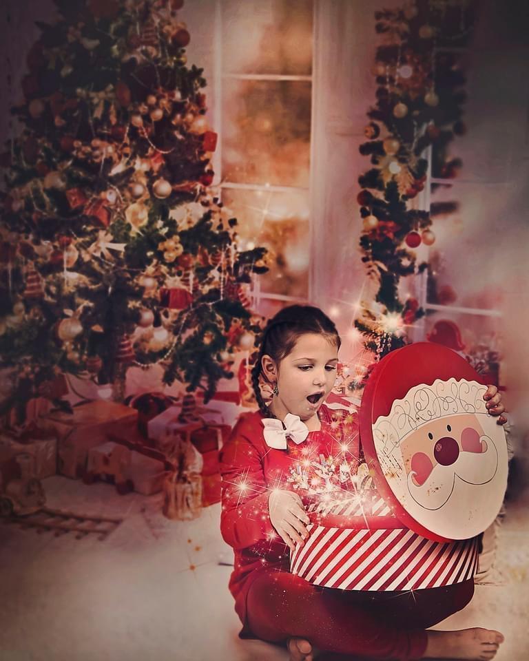 Christmas Tree Gift Backdrop For Home Decor DBD-P19165 – Dbackdrop